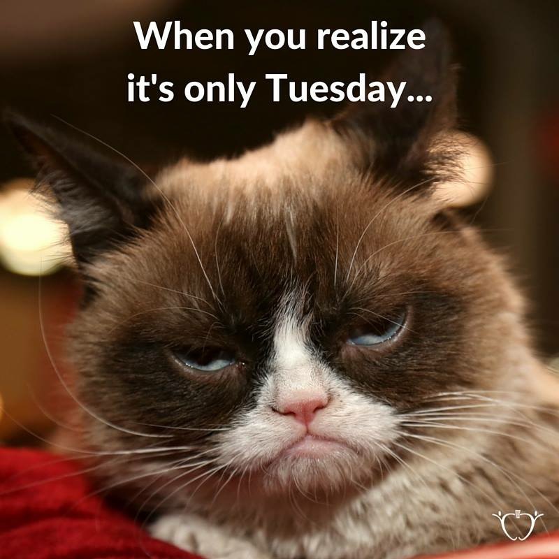 Tuesday not Wednesday