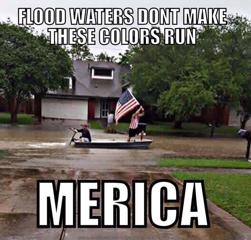 Flood Water Memes How different monitors deal with Flood outbreaks: 343 ...