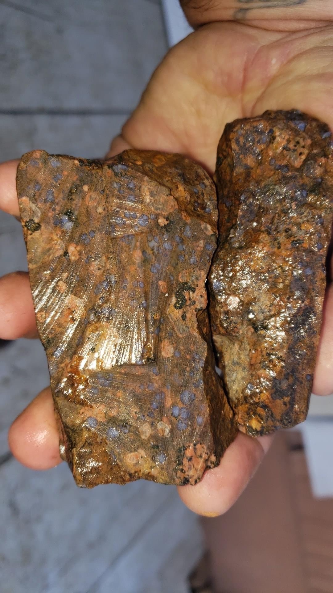 Look at these 2 pieces of LLANITE it's only found in Llano Texa