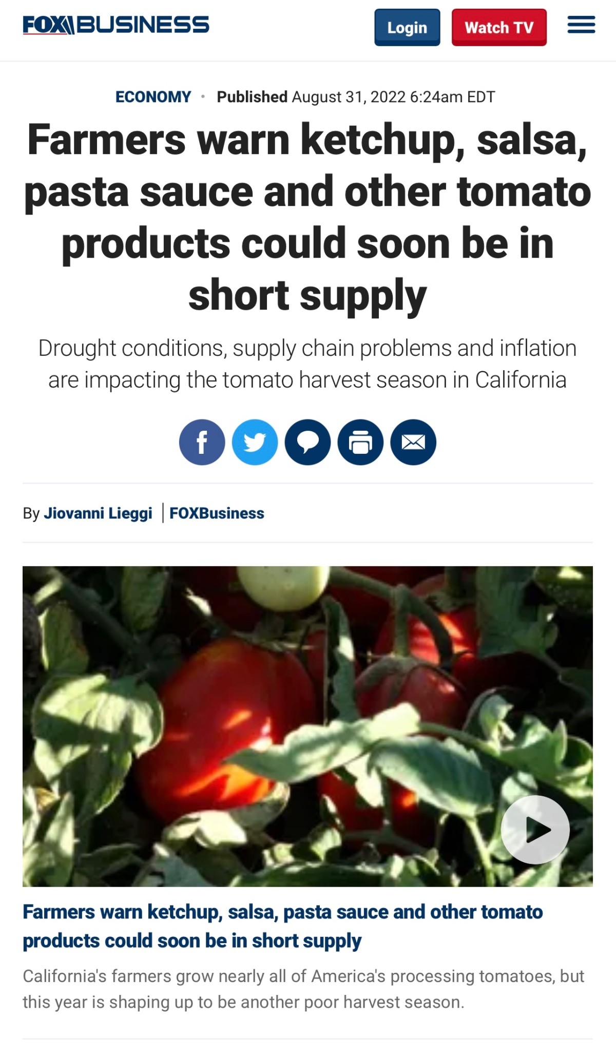 Time to hoard tomato based products?