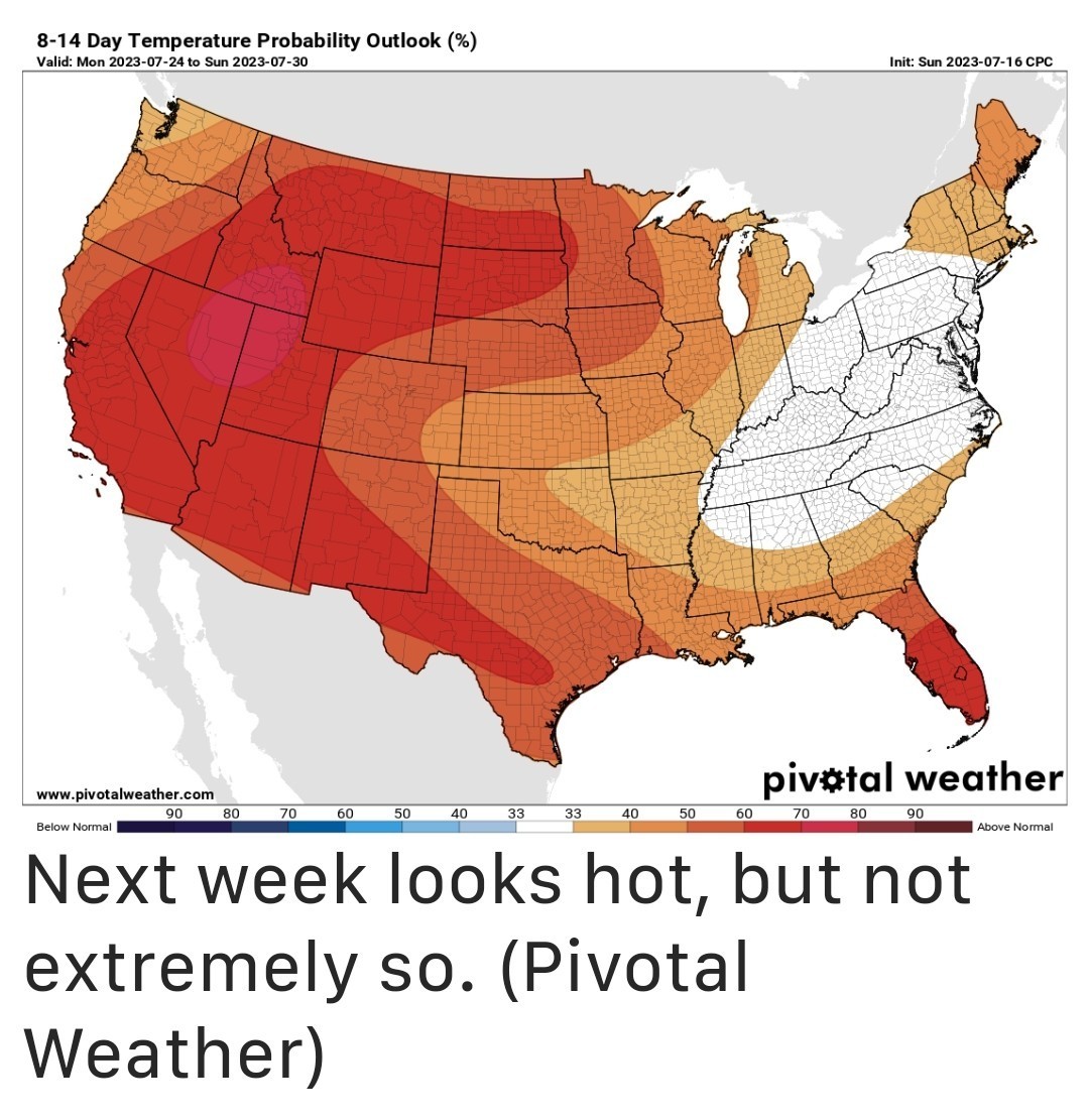 This week's forecast