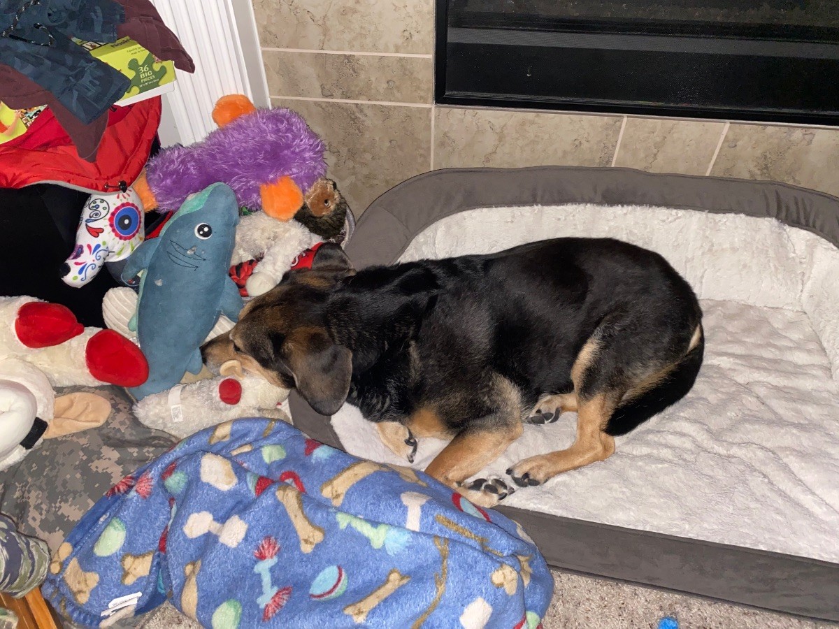 Post your snuggle pictures