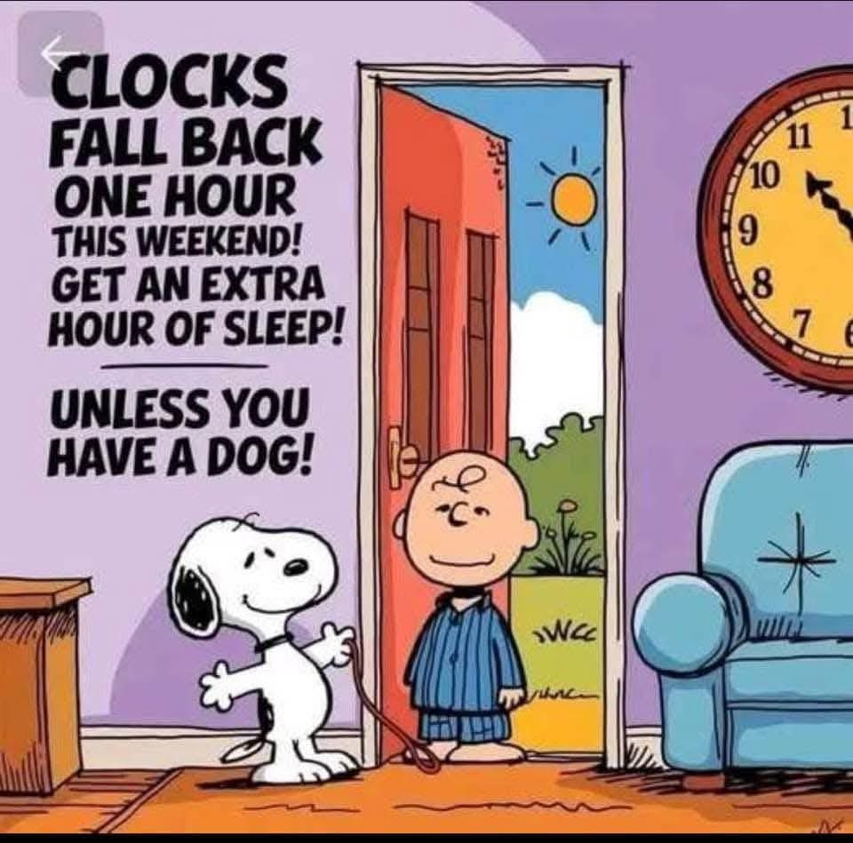 Clocks fall BACK this weekend!