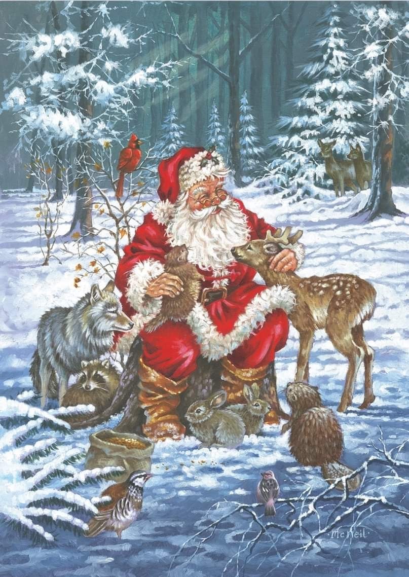 Some 'different' Santa pictures