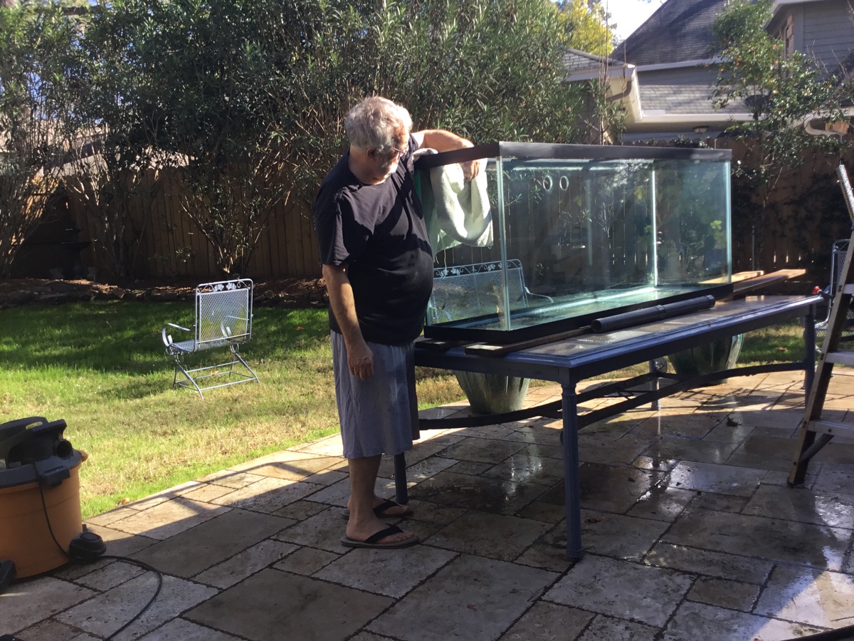 Ta DA!!! Stage one almost done!