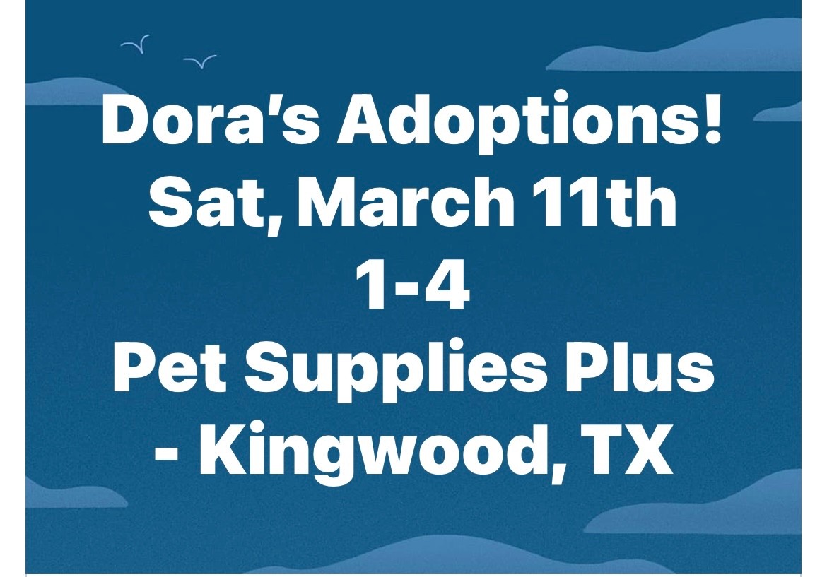 Dora's adoptions TODAY at Pet supplies plus . Get your new best
