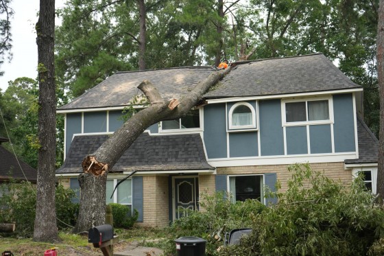 News: Recovery tests patience in Kingwood after Hurricane Beryl ...