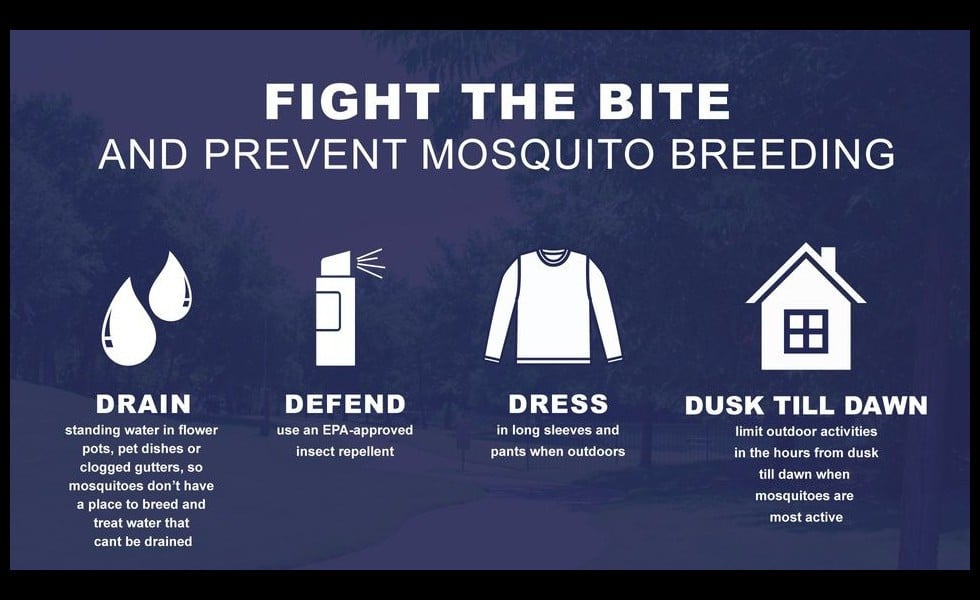 Tips to Prevent Mosquito Breeding