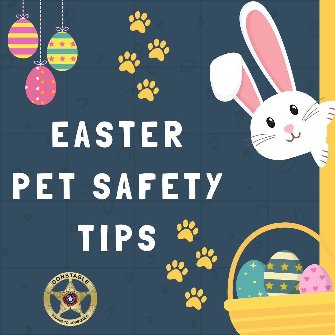 Easter Pet Safety Tips by Constable Mark Herman