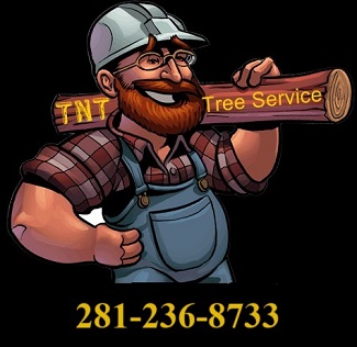 TNT Tree Service in Kingwood Texas
